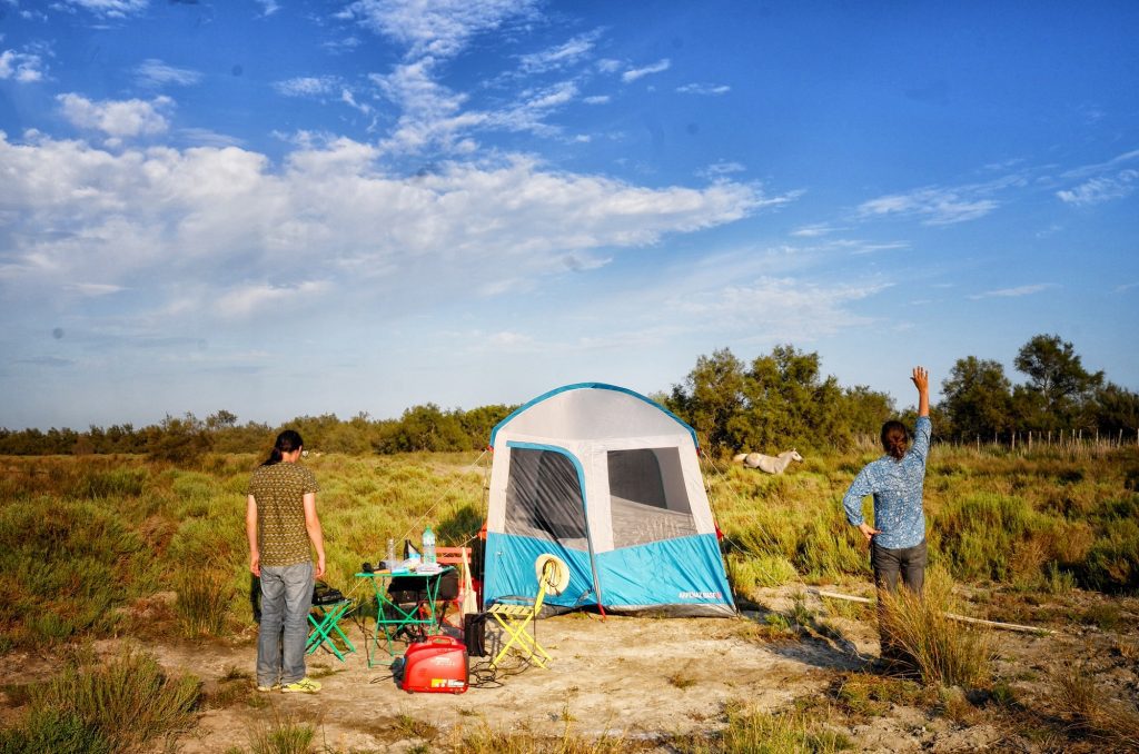 Windows that Open into the World