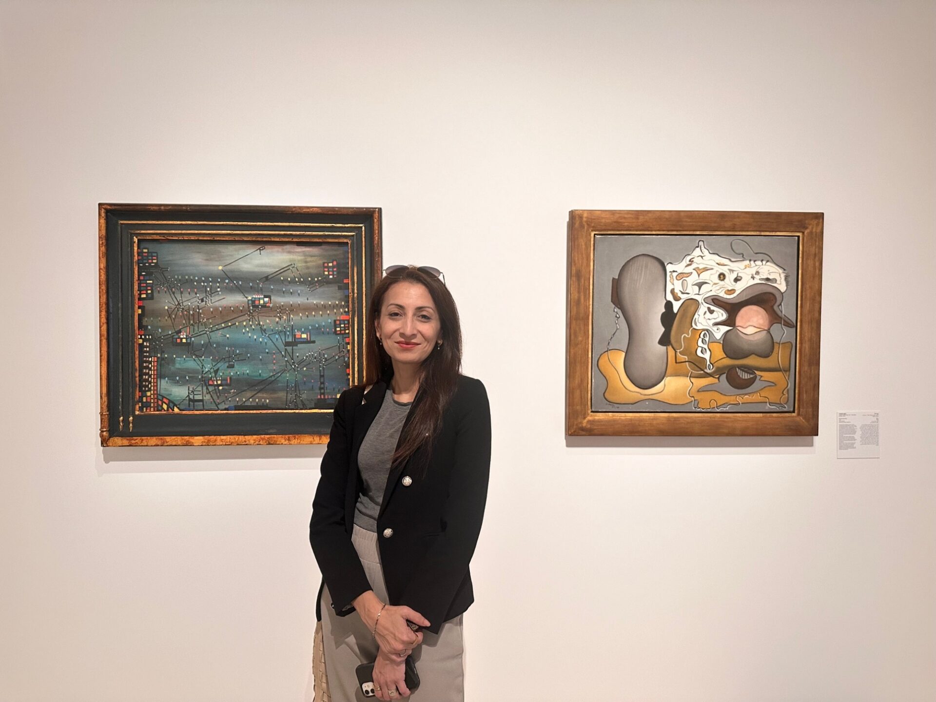 Manzar: A Perspective into the Art and Architecture of Pakistan